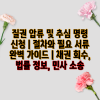 질권 압류 및 추심 명령 신청 절차와 필요 서류 완벽 가이드 채권 회수 법률 정보 민사 소송 네이버 블로그
